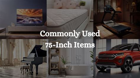 How Big Is 16 Inches Typical 16 Inch Objects In Daily Life