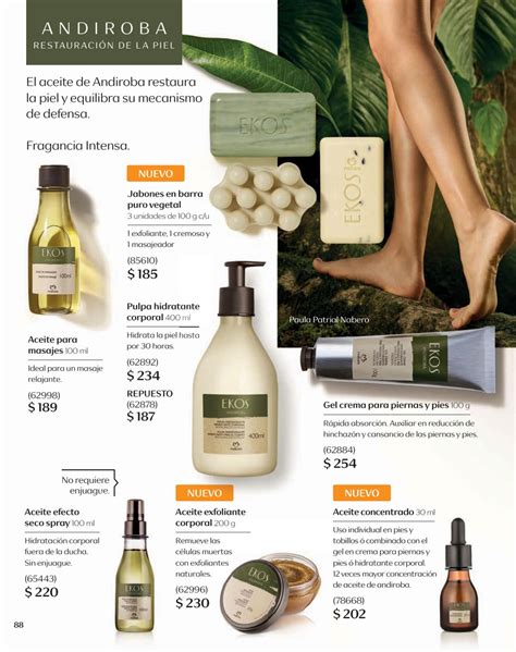 Descubrir 100 Imagen Aceite Concentrado De Andiroba Natura Abzlocal Mx