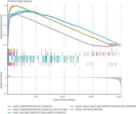 Function And Pathway Analysis For Wt Patients Between High And