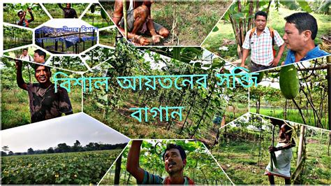প্রত্যন্ত গ্রামে সব্জি বাগান। Village Vegetable Garden