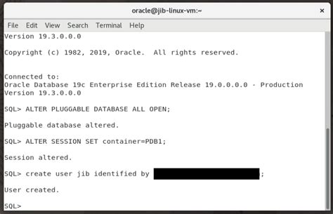 Install And Configure Obiee 12c On Linux Vm