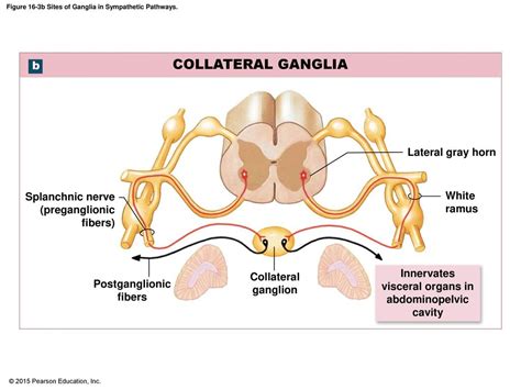 An Introduction To The Ans And Higher Order Functions Ppt Download