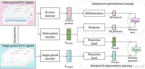 杀疯顶刊tpami！25年cnn中稿捷径来了！weconvene Learned Image Compression With Wavelet Csdn博客