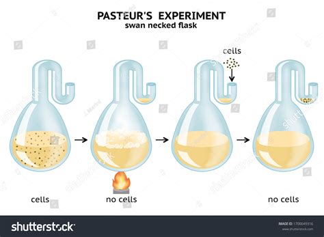 Pasteur Stock Illustrations Images And Vectors Shutterstock