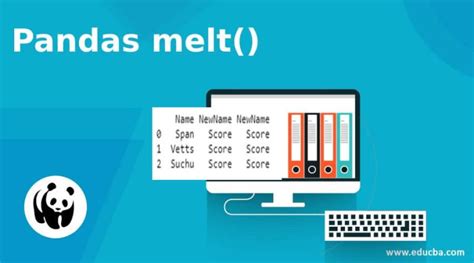 Pandas Melt Function With This Beginners Guide Analytics Vidhya