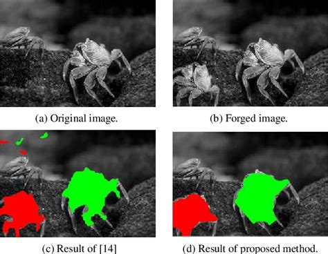 figure 1 from improving the detection and localization of duplicated