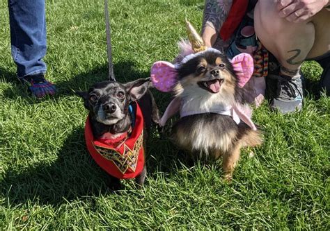 Tri County Humane Society