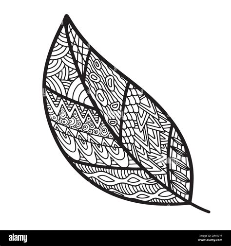 Vector Zen Tangle And Doodle Leaf Nature Coloring Book Black And