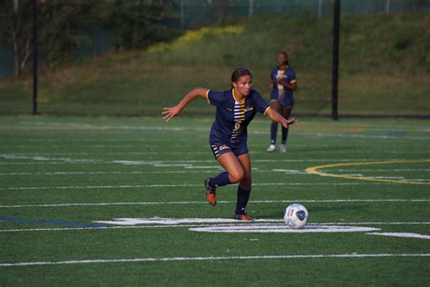 Untitled Sofia Perzan Flickr