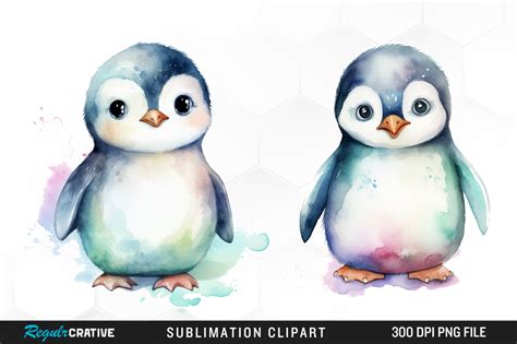 Watercolor Penguin Illustration Clipart Graphic By Regulrcrative
