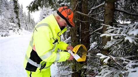 Nyheter Ulykker Når Uhellet Er Ute Hiver Arne Seg I Bilen Det Er