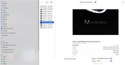 Unable To Import Mov Or Import Mp4 Files Into Ph Adobe Community