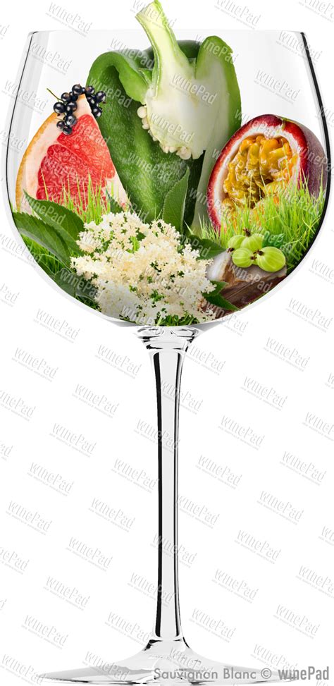 Sauvignon Blanc Winepad