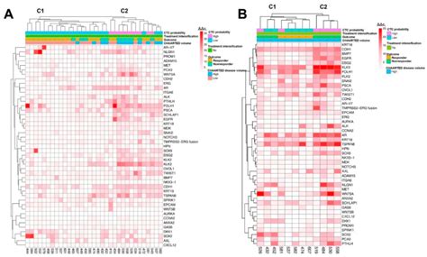 Multigene Profiling Of Circulating Tumor Cells Ctcs For Prognostic Assessment In Treatment