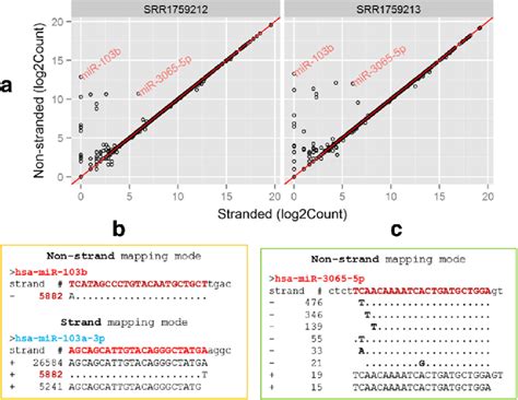 Incorporation Of Strand Information Gives More Accurate Quantification Download Scientific