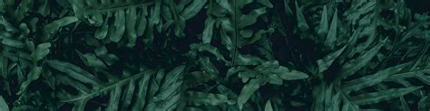 Our brands - Prosperplast