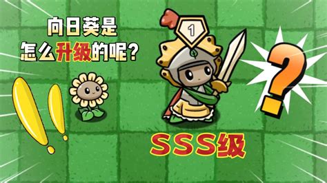 植物大战僵尸向日葵是怎么升级成SSS级向日葵骑士的呢 高清1080P在线观看平台 腾讯视频
