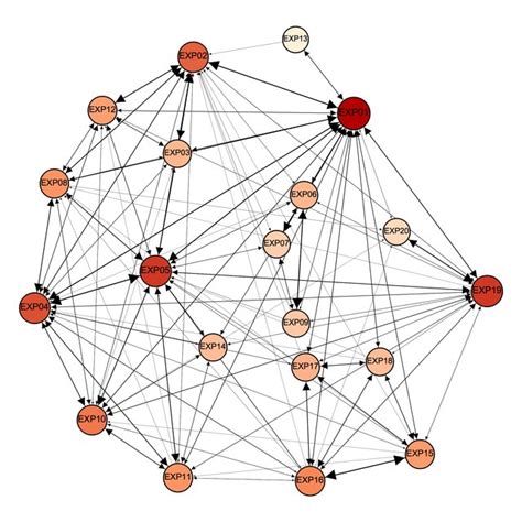 Network Structure Of The Experiment Download Scientific Diagram