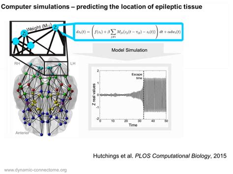 A Tutorial In Connectome Analysis 0 Marcus Kaiser Pdf Brain And