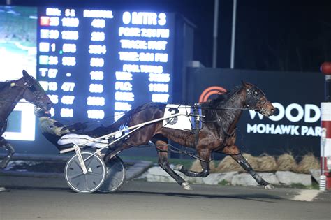 Bee Two Bee Hangs Tough In Open Harnesslink