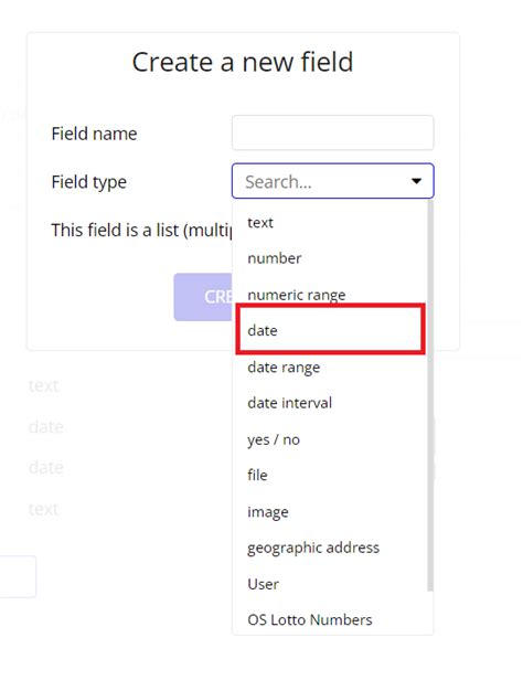 Formate Of Date And Time Picker Of Bubble 2 By Mikeloc Need Help