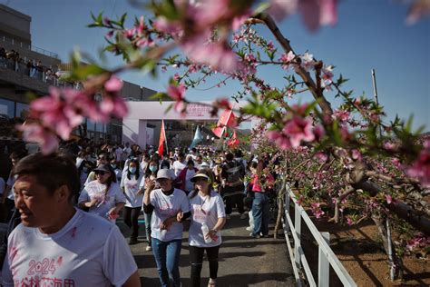 乘「電音巴士」賞花踏青 平穀國際桃花節浪漫開啟 新浪香港