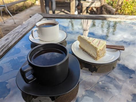 Xiaocai Cafe Info Opening Hours Address And Latest Visitor Reviews 2025