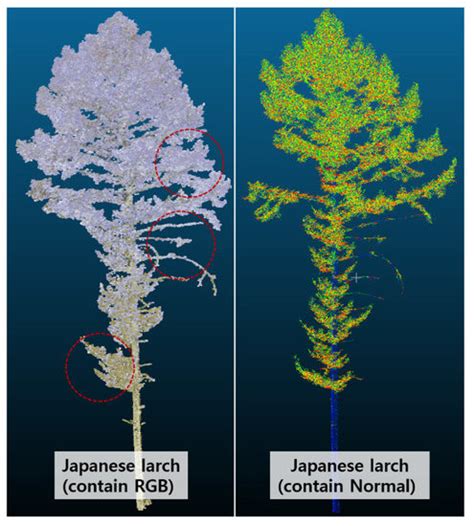 Forests Free Full Text Automated Segmentation Of Individual Tree Structures Using Deep