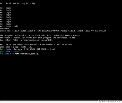 如何开启kali的ssh远程连接kali Ssh Csdn博客