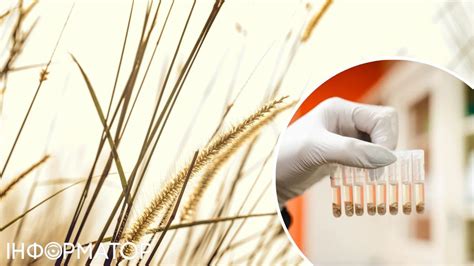 Стародавній вантаж підняли з дна озера оживили і вирішили пропити