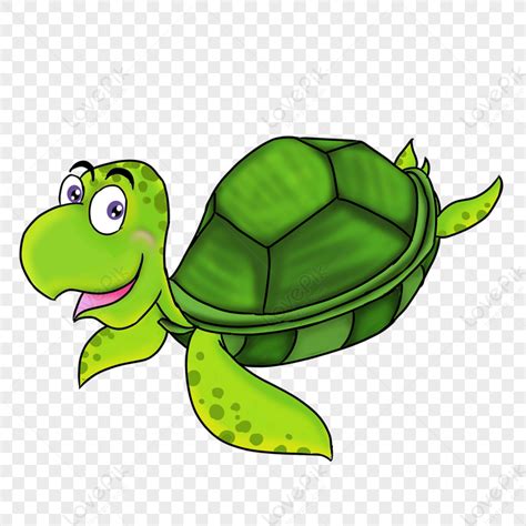 만화 일러스트 스타일 원시 녹색 거북이 껍질 부드러운 피부 클립 아트 바다 남생이 타일러 Png 일러스트 무료 다운로드 Lovepik