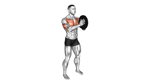 10 Effective Quadruped Exercises To Strengthen Your Core And Improve