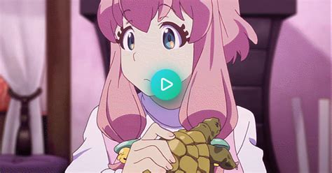 Turtle No  On Imgur