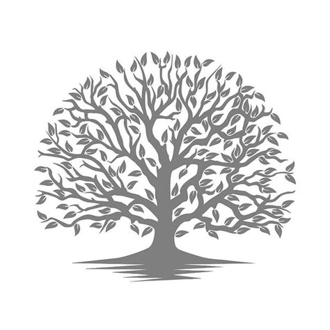 About Us Blackstone Valley Relaxology Sutton Professional