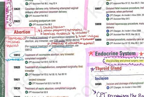 2024 Cpt Surgery The Female Genital And Endocrine System Cpt Book Notes Etsy