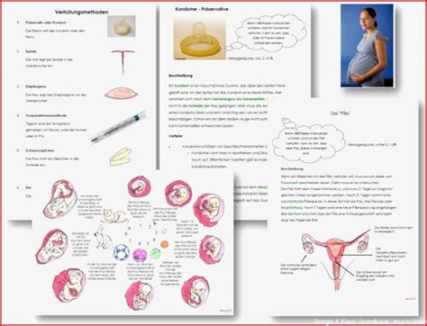 Biologie 6 Klasse Sexualkunde Arbeitsblätter 5 Tipps Sie Jetzt Versuchen Müssen Kostenlose