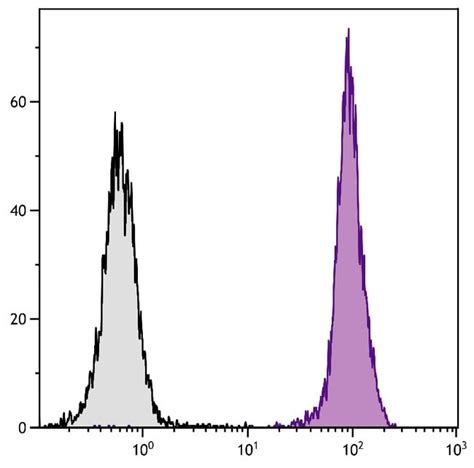 Cd451 Monoclonal Antibody A20 Fitc Invitrogen 25 μg Fitc