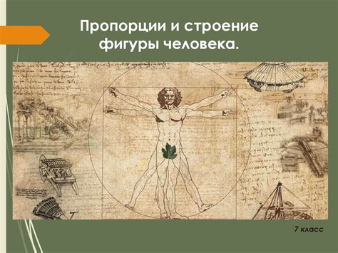 Пропорции и строение фигуры человека Этапы рисования Online Presentation