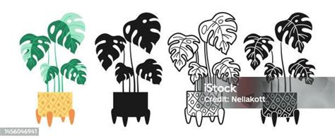 집 화분에 심은 식물 몬스 테라 만화 아이콘 세트 이국적인 화분 선 기호 낙서 실루엣 벡터 낙서 드로잉에 대한 스톡 벡터 아트 및 기타 이미지 낙서 드로잉 선 아이콘