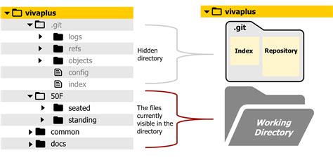 Basic Git Workflow On Local Repo Viva Workshop