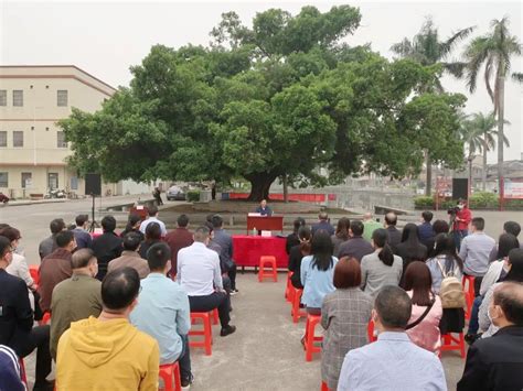 有榕树的地方就有党课！“泥土气息”，让党课更入脑入心！澎湃号·政务澎湃新闻 The Paper