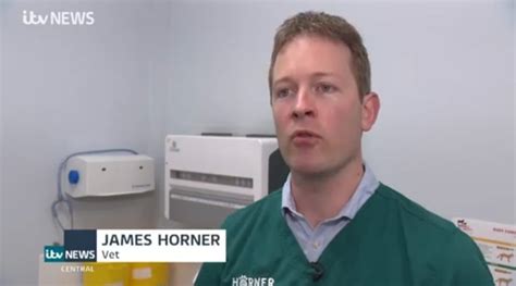 August Clinical Update James Horner Vets Vets In Sheldon Birmingham