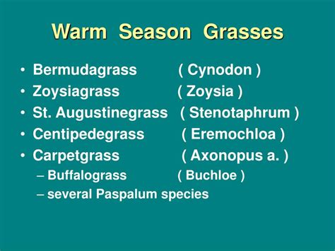 Ppt Warm Season Grasses Powerpoint Presentation Free Download Id