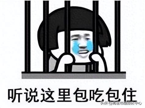 “盗”此为止！潍坊高密公安速破系列入室盗窃案犯罪分子案件天井