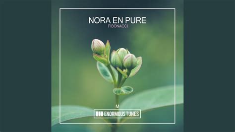 Fibonacci Youtube Music