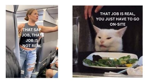 Sapfico Sapsd Sappp Sapim Sapwm Damon Hinderberger