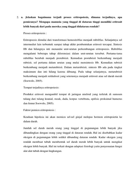 Jelaskan Bagaimana Terjadi Proses Eritropoiesis Pdf