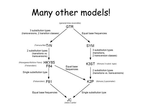 Ppt Building Phylogenies Powerpoint Presentation Free Download Id 1297773