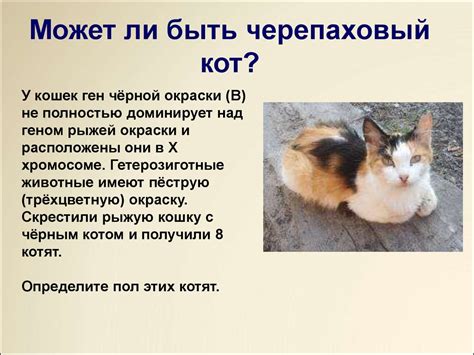 Хромосомная теория наследственностию Генетика пола презентация онлайн