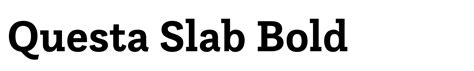 Questa Slab Font Webfont And Desktop Myfonts